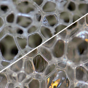 Des mousses solides comportant de fines membranes absorbent fortement ...